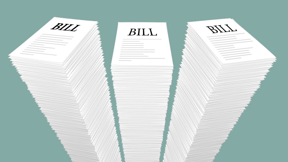 Influencing Policy: supporting health care legislative and legal action